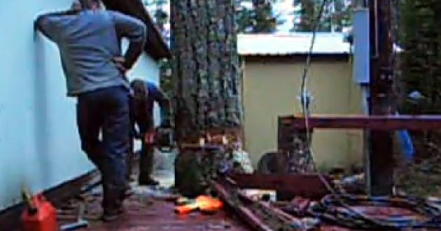 Amazing work by Washington Lumberjack | gooyadaily