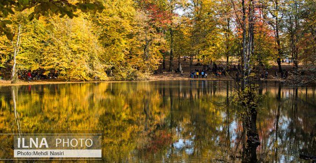 The Fall Nature of the Swamp | gooyadaily