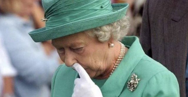 The incredible behaviors of the queen | gooyadaily | Page 2